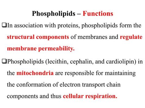 Structural Lipids Pptx