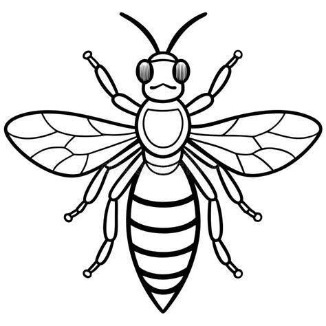 Dung Beetle Bug Reading Icon Vector Stock Vector Illustration Of