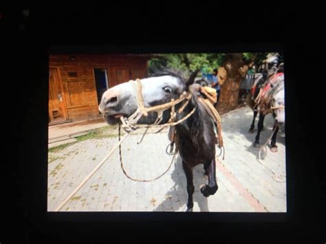 Python爬虫可视化新疆旅游数据分析 知乎