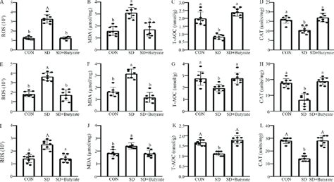 Effects Of Butyrate Supplementation On The Sleep Deprivation Induced Download Scientific