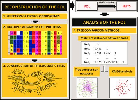 the bioinformatic pipeline for the analysis of the forest of life fol