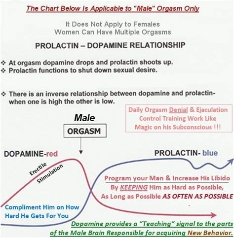Sex Education Freeones Forum The Free Munity