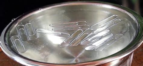 How To Make A Paperclip Float On Water Science Experiments WonderHowTo