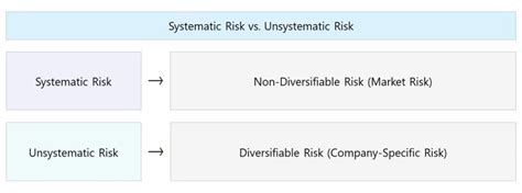 Systematic Risk Definition Examples