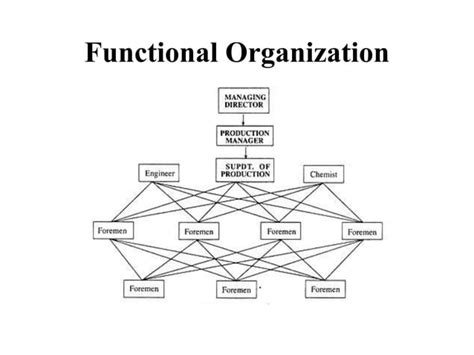 organization management process ppt business business and finance