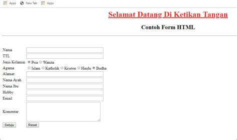 Pengertian Inputan Dan Jenis Jenis Tag Inputan Lengkap Faqihalvarodev