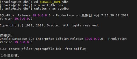 oracle19c adg搭建 oracle 19c adg搭建详细步骤 csdn博客