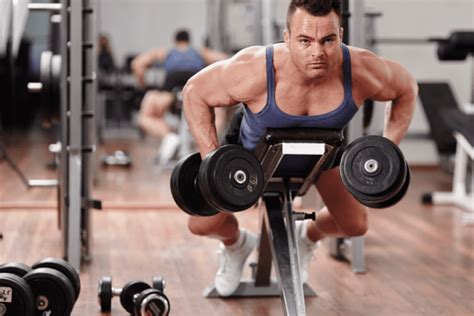 12 Dumbbell One Arm Row Alternatives 2023 Horton Barbell