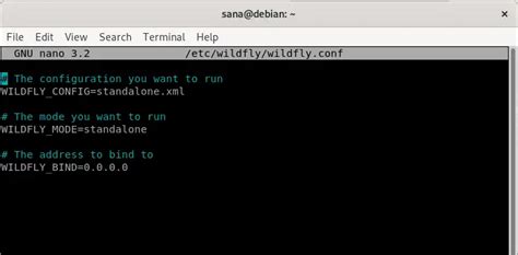 How To Install And Configure WildFly JBoss On Debian VITUX
