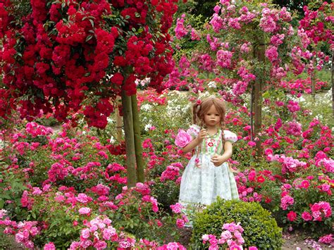 Розы в саду (Много фото) - treepics.ru