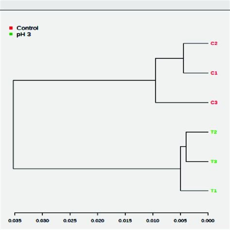 Dendrogram Of The Hierarchical Cluster Analysis HCA Obtained From