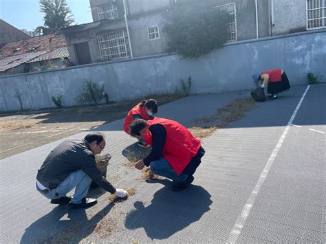 南浦小学：清美党建，志愿先行