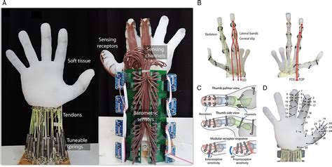 This Advanced D Printed Robotic Hand Is Changing Robotics