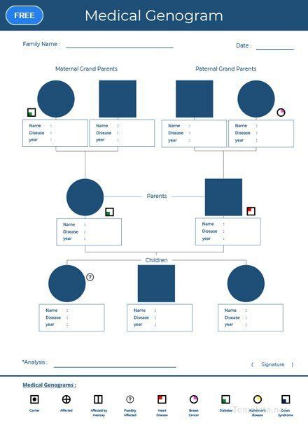 Medical Genogram Template In Word Editable And Customizable