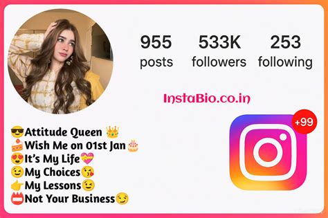 1195 Best Instagram Bio For Girls Stylish Attitude And Vip Bio 2026