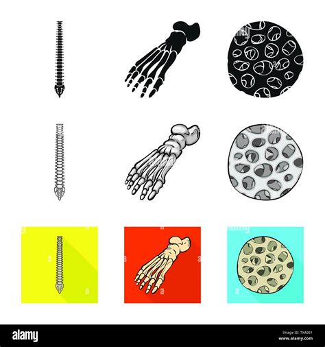 Vector Vectors Stock Vector Image And Art Alamy