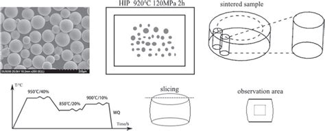 Schematic Diagram Of Hip And Multi Pass Deformation Download