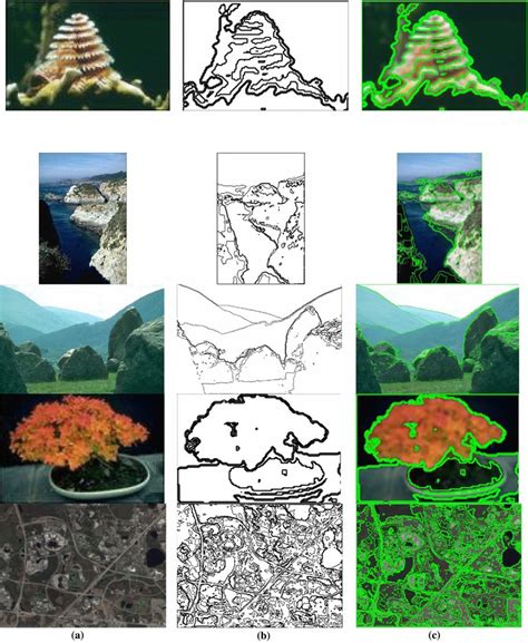 Segmentation Result A Original Image B Region Boundaries And C Download Scientific Diagram