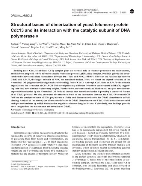 Pdf Structural Bases Of Dimerization Of Yeast Telomere Protein Cdc13