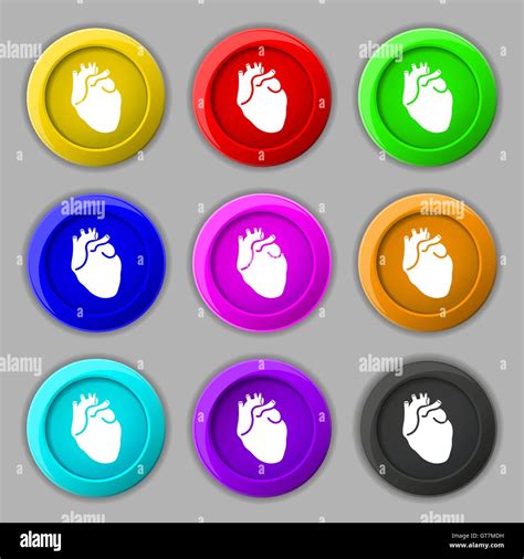 Human Heart Icon Sign Symbol On Nine Round Colourful Buttons Vector