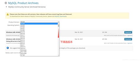mysql数据库所有版本安装包下载地址 tdmysql安装包下载 csdn博客