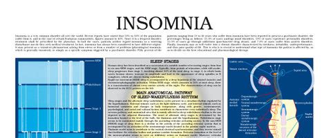 Insomnia Ii Anejo