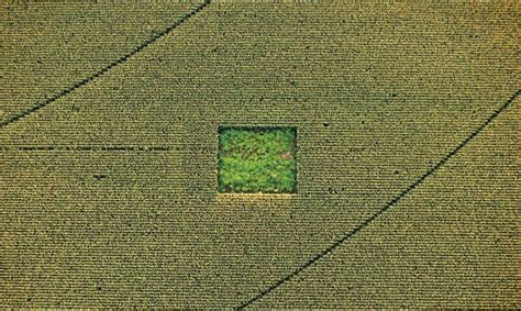 Cpu Under An Electron Microscope Rmisleadingthumbnails