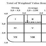 IE Matrix Source Primary Data Processed Download Scientific Diagram