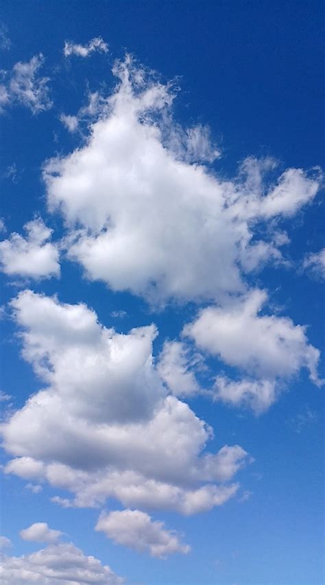 絵を描くのが好きな人集まれ！！