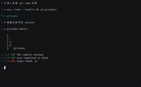 X Cmd Pkg Gitleaks 一个 Sast 工具，用于检测和防止git Repos 中的硬编码秘密，如密码、api 密钥和
