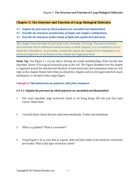 Biol 1406 Chapter 5 Reading Guide Chapter 5 The Structure And Function Of Large Biological