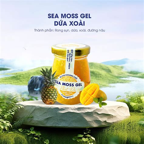 8 Cách Sử Dụng Sea Moss Gel Hiệu Quả Nhất Japi Foods Blue Foods