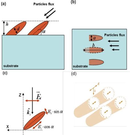 A Schematic Illustration Of The Columns Formed During The Evaporation Download Scientific