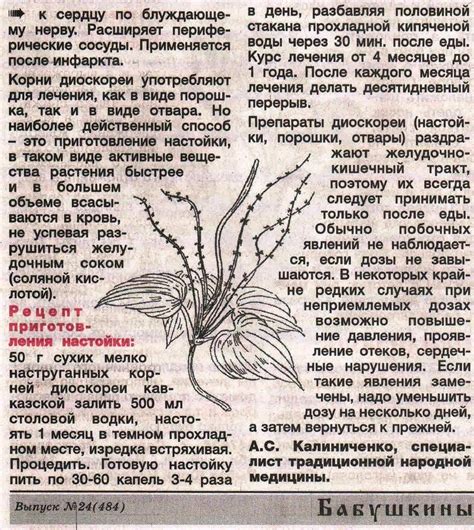 Настойка диоскореи, 250мл купить с доставкой | Интернет аптека Фито ...