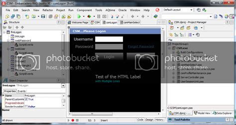 Selectable Multi Line Buttons Or Labels Tms Intraweb Component Pack Tms Support Center