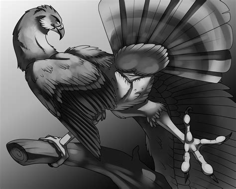 Rule 34 2023 Accipitriform Ambiguous Gender Animal Genitalia Avian