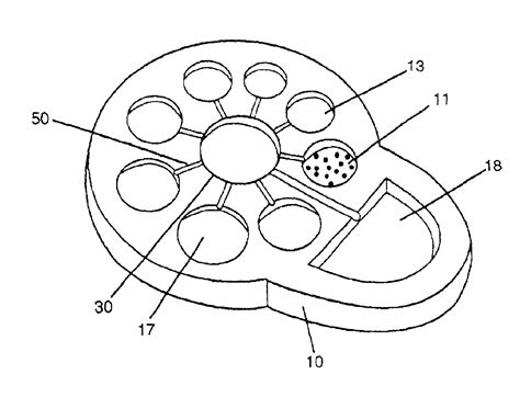 Chemiluminescence Based Microfluidic Biochip Eureka Patsnap