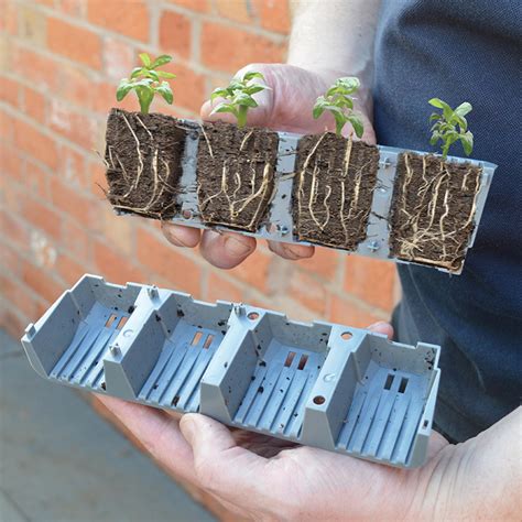 Fast Root Split Cel 24 Garland Products Jansen Samen