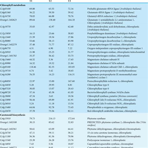 Analyses Of Transcripts Involved In Carotenoid Biosynthesis