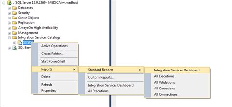 ssis catalog by wael medhat