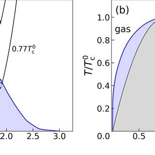 A Phase Diagram Of The Mean Field Model In The N P Plane Within Download Scientific