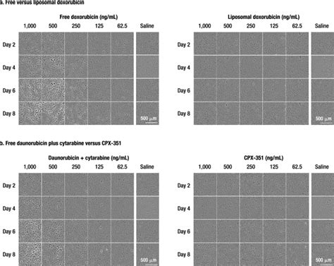 Lower Cardiotoxicity Of Cpx 351 Relative To Daunorubicin Plus
