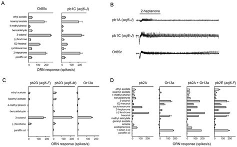 Novel Orns With Response Profiles Of Larval Odor Receptors A The