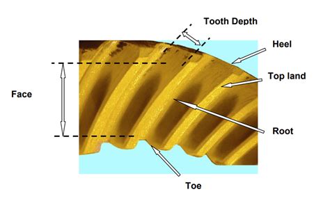 How To Adjust Your Dana Spicer Ring And Pinion Pro Gear And Transmission