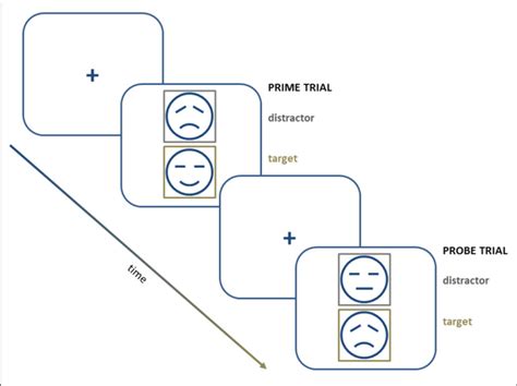 A Schematic Representation Of A Series Of Trials In A Negative