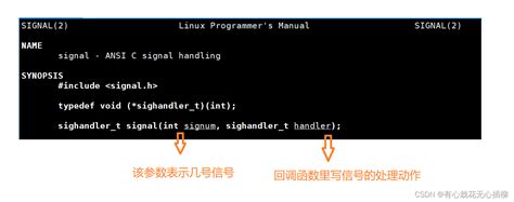 【linux系统】linux进程信号详解 linux信号 csdn博客