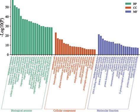 Gene Ontology Functional Enrichment Analyses Of Common Genes
