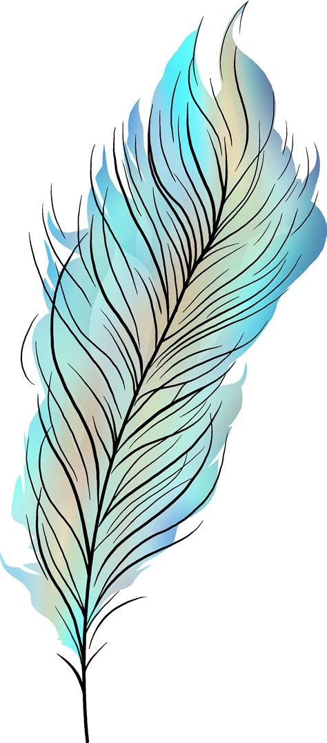 Feather Drawing On White Background
