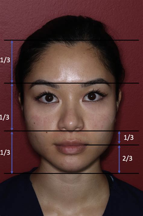A To Z Of Lip Augmentation Anatomy And Aesthetics