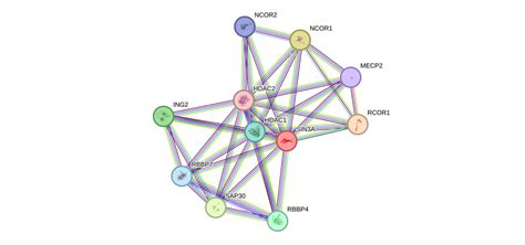 The Sin3a Gene And Its Putative Association With Human Ageing